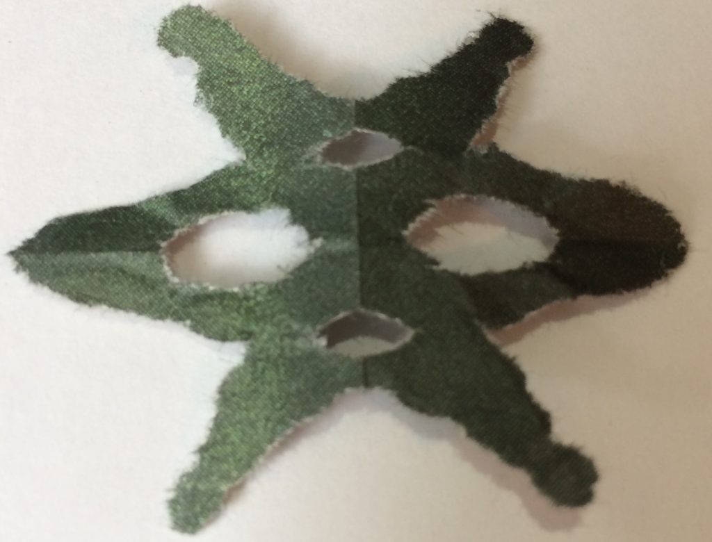 torn star | Aiming High Teacher NetworkAiming High Teacher Network